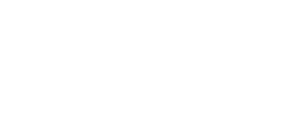 Professional Programmes – BA ISAGO University